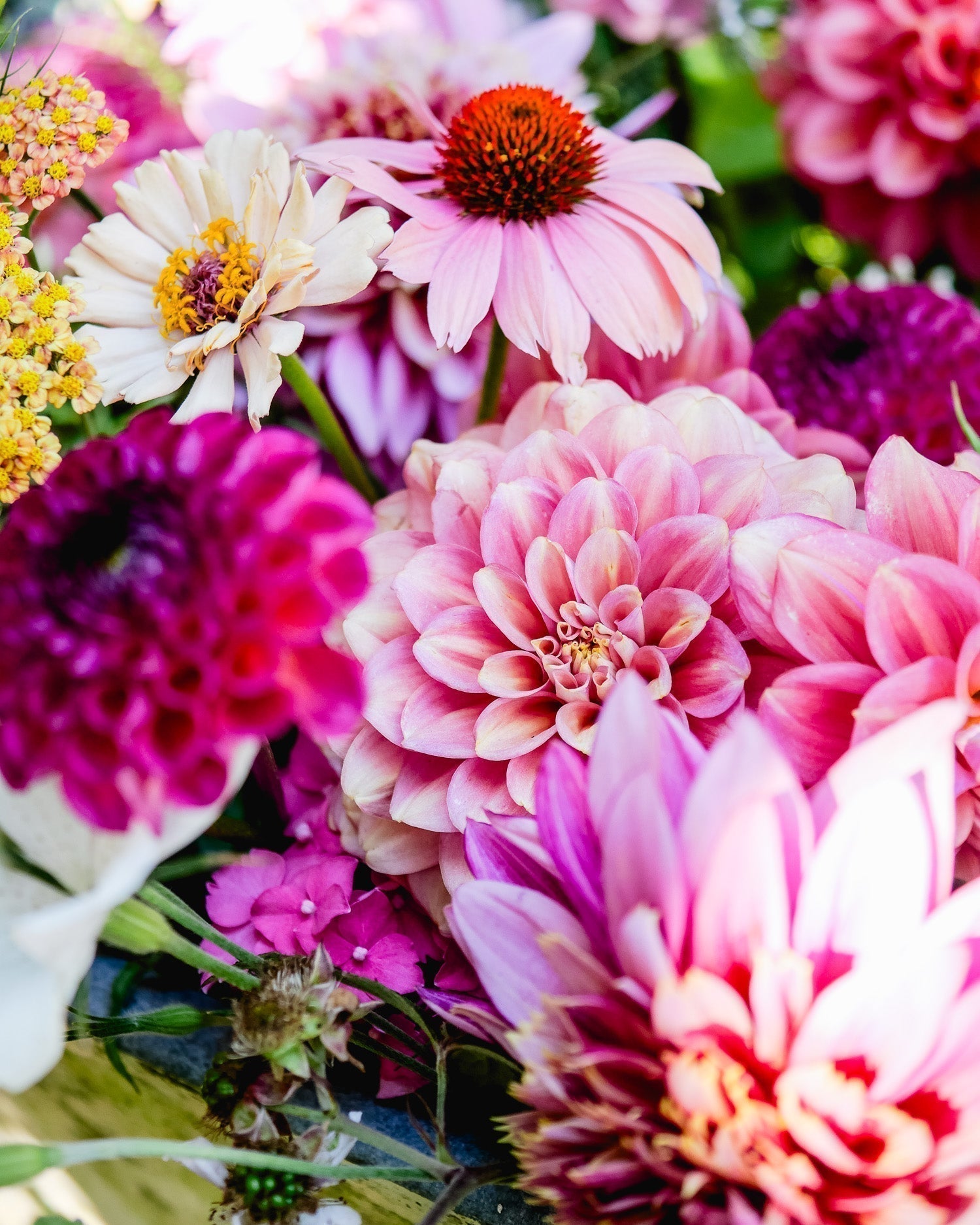 Small Acorns Flowers | Fresh Flowers Daily Wellington NZ
