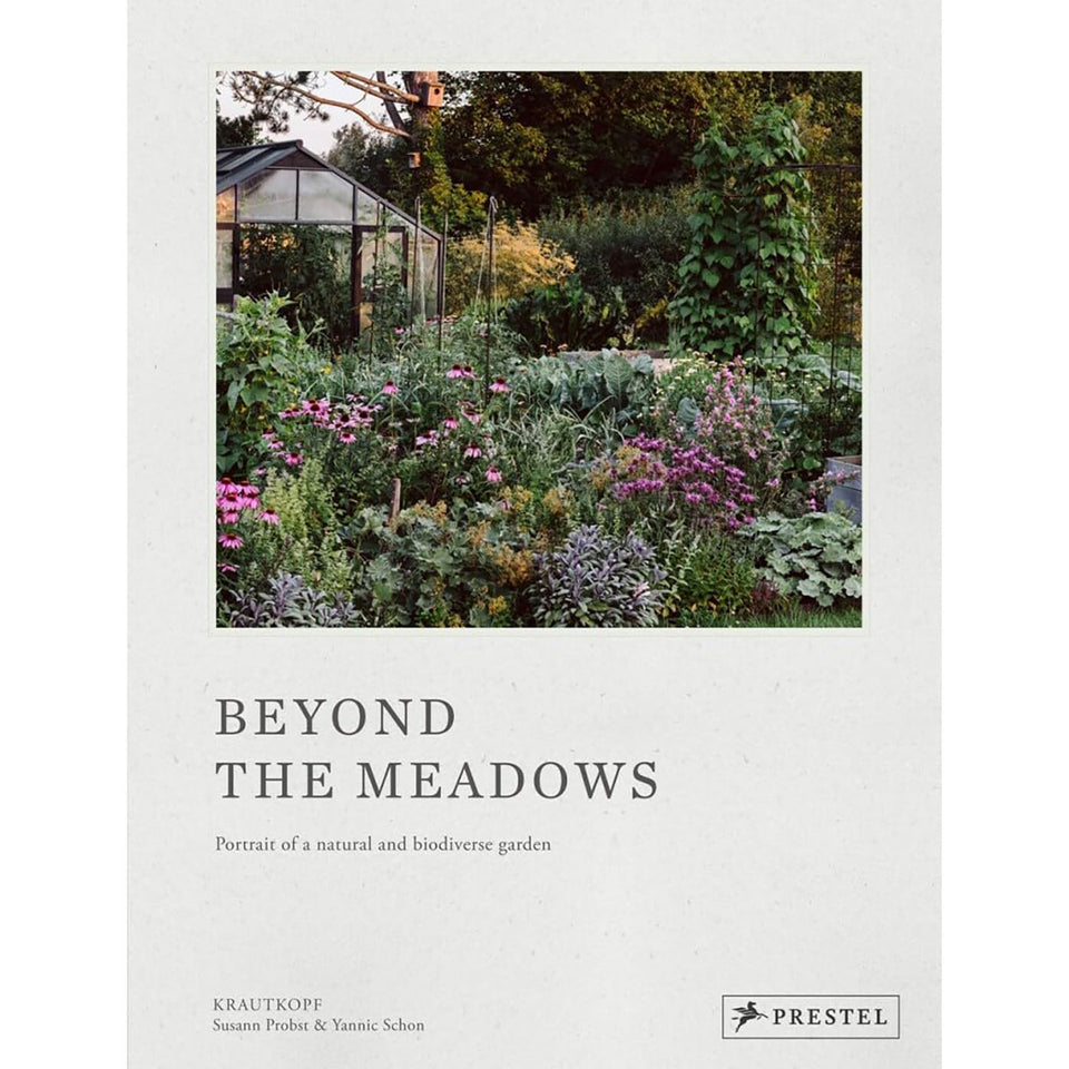 Beyond The Meadows ~ Susann Probst and Yannic Schon | Small Acorns NZ